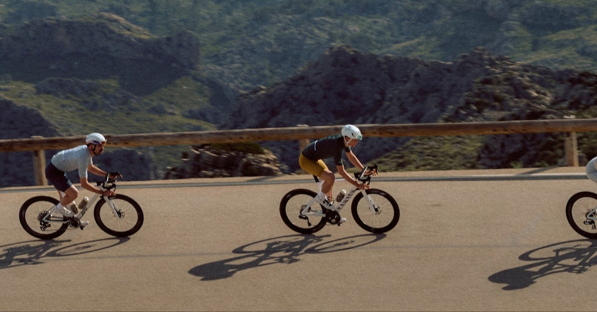 Ryzon: Alle Produkte im Überblick | Für deine Höchstleistung